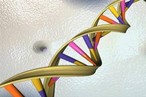 Complex mix of gene effects causes congenital heart defect - Science ...
