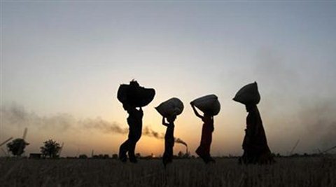 World’s economic model deeply flawed: Study - Economy News | The ...