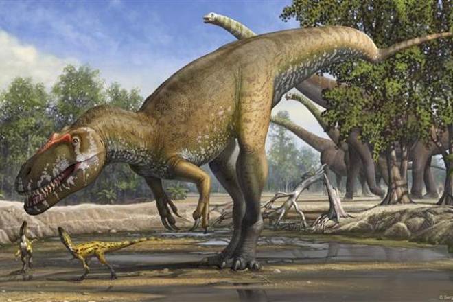 New species of sauropod dinosaur found in Tanzania - Science News | The ...