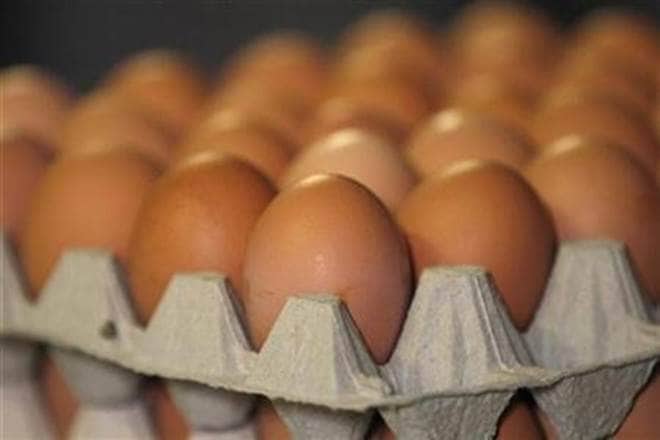 250,000 insecticide contaminated eggs sold in France since April ...