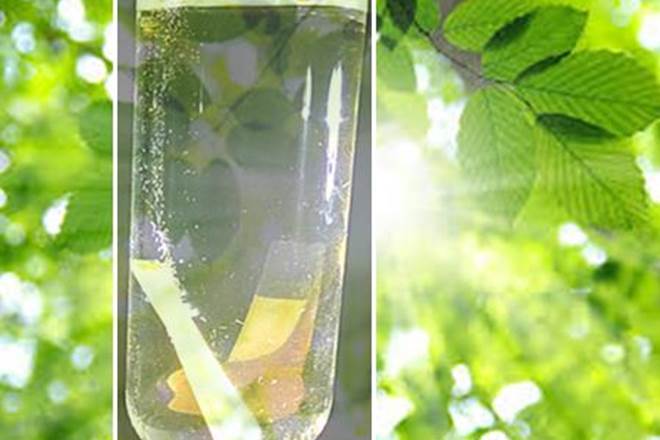 Big boost for clean energy: CSIR’s artificial leaf creates fuel from ...