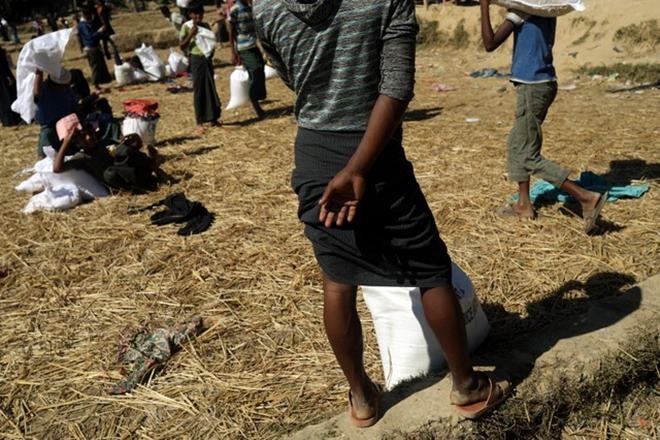 Rohingyas detained, beaten up after cow carcass found near refugee camp ...