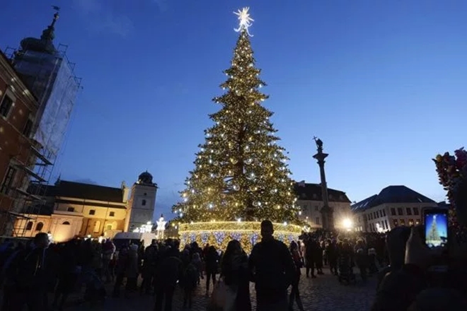 No holiday cheer for Belgrade’s 83,000-euro Christmas tree - World News ...