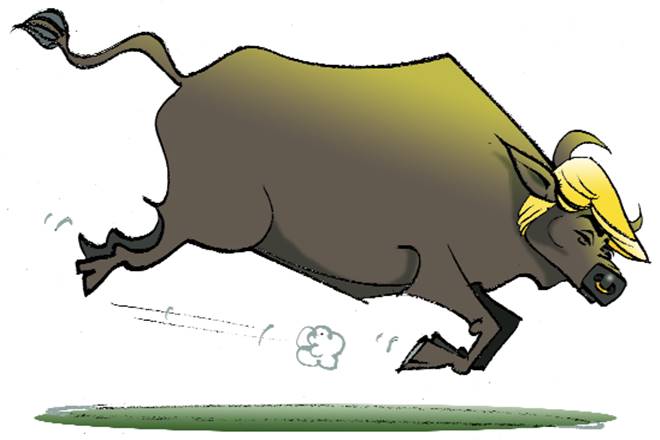 Donald Trump’s stock market performance best in 64 years - Market News ...