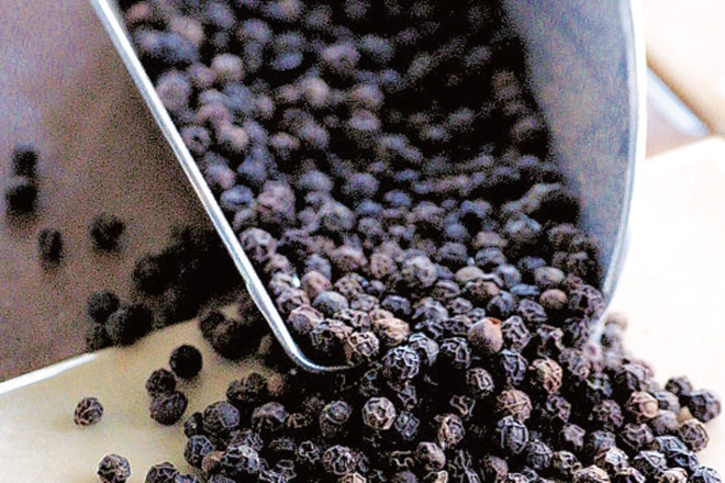 Spices in distress: Pepper imports flouting minimum import price ...