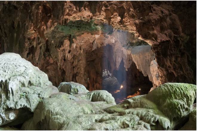 ‘Hobbit humans’: New tiny species of early humans discovered - Science ...
