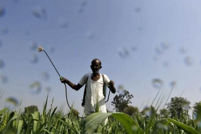 Govt raises subsidy for non-urea fertilisers, to cost Rs 22,875 cr in ...