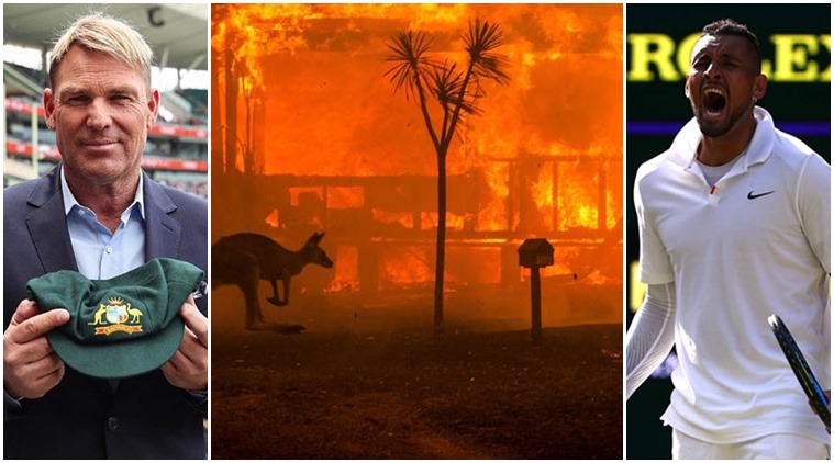 Australia bushfires: Animals face extinction! Haunting images of burnt ...