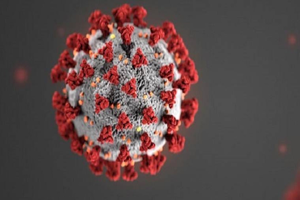 Mini antibodies against COVID-19 isolated from llama may prevent ...