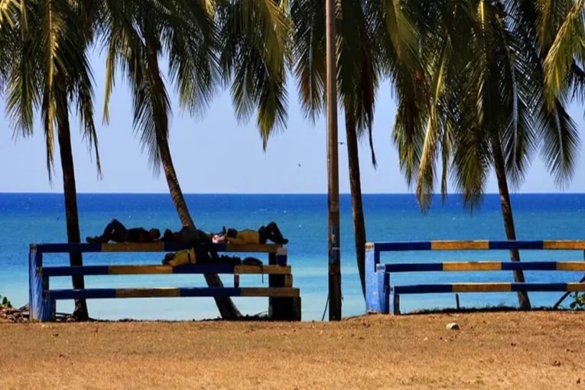 ‘Take it easy’: Goa Forward Party promises compulsory siesta break if ...