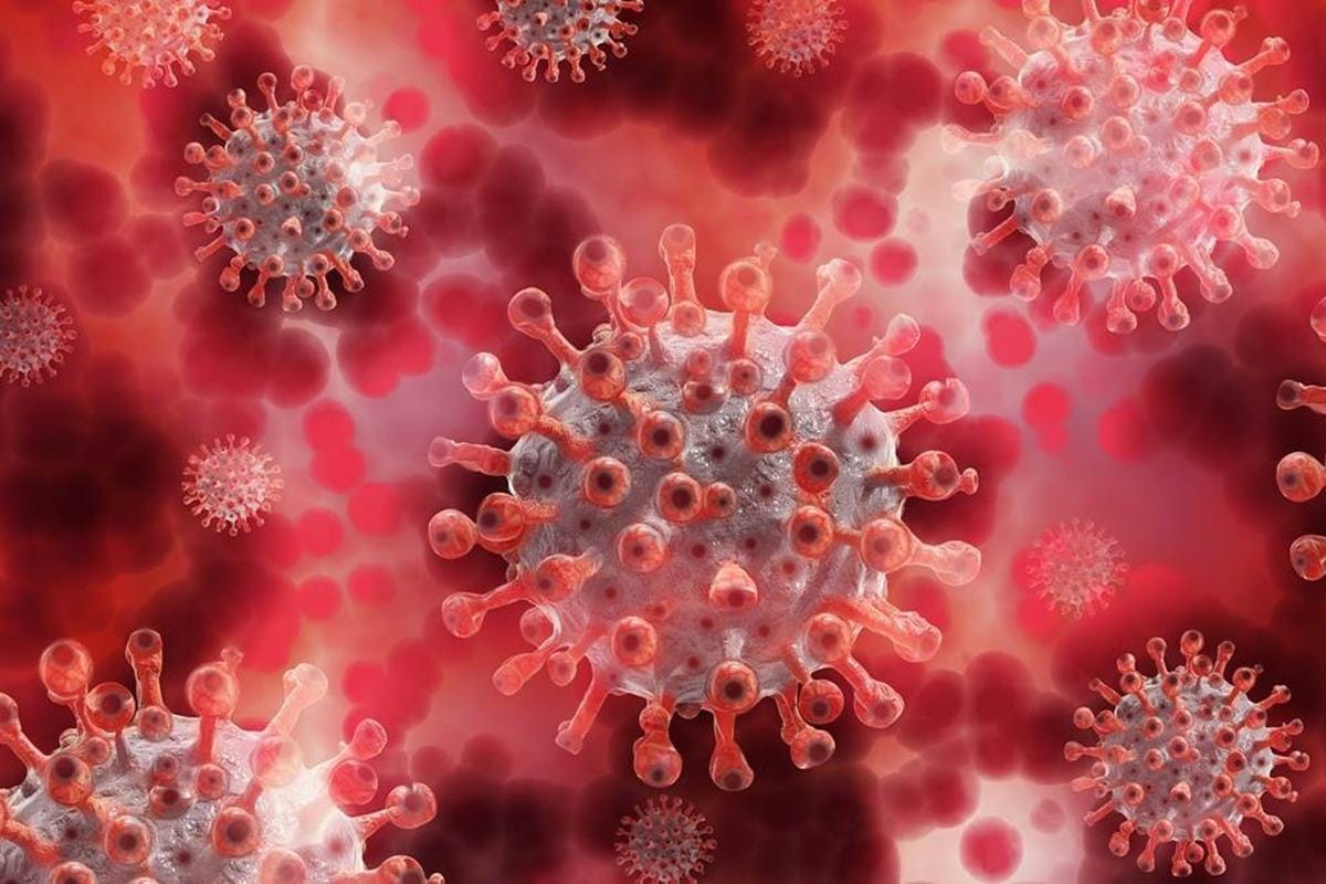 Two more Covid variants under investigation - Life News | The Financial ...