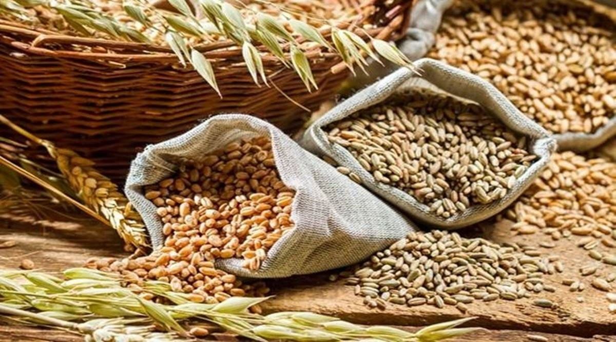 Mandi prices of wheat fall, but still marginally above MSP ...