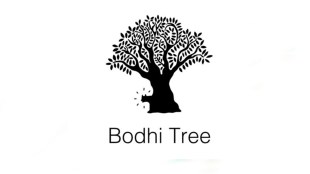 Bodhi tree News: Bodhi tree Latest News, Bodhi tree Today news, Bodhi ...