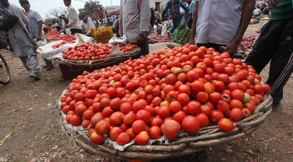 Surplus rains in Karnataka push up tomato prices by 66% - Economy News | The Financial Express