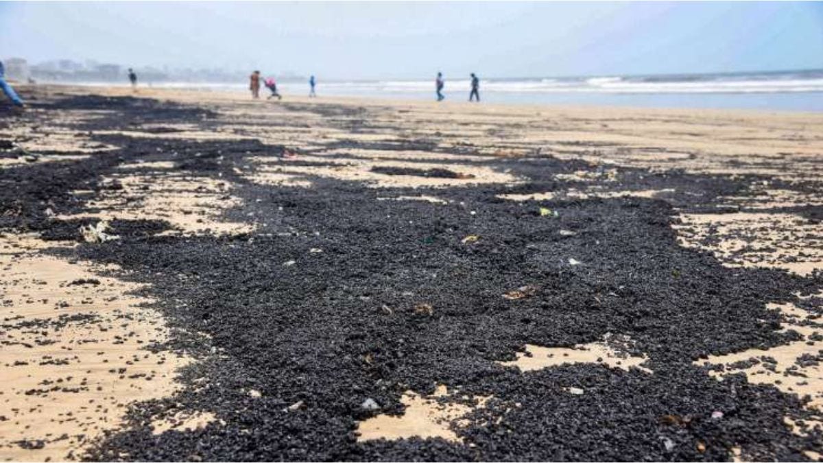 Ambitious Green House Gases reduction can make India unparalleled climate leader: McKinsey ...