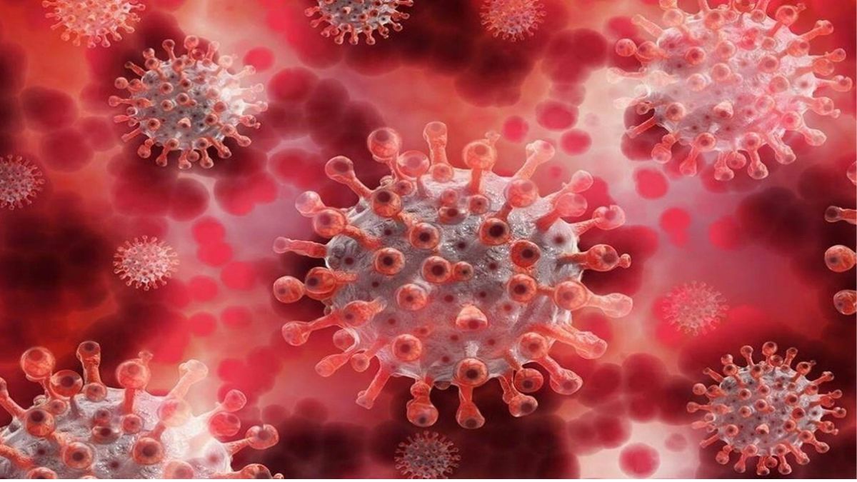 COVID-19 disrupts normal mix of gut bacteria, increases risk for other ...