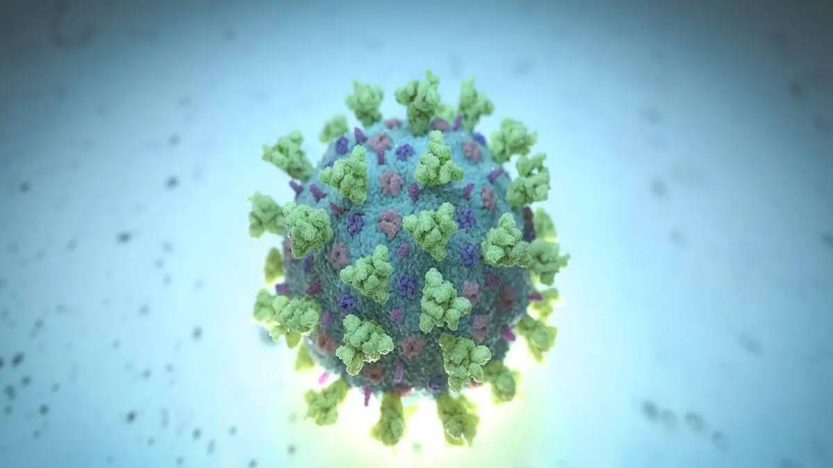 Symptom and viral rebound rare after untreated COVID-19 infection ...