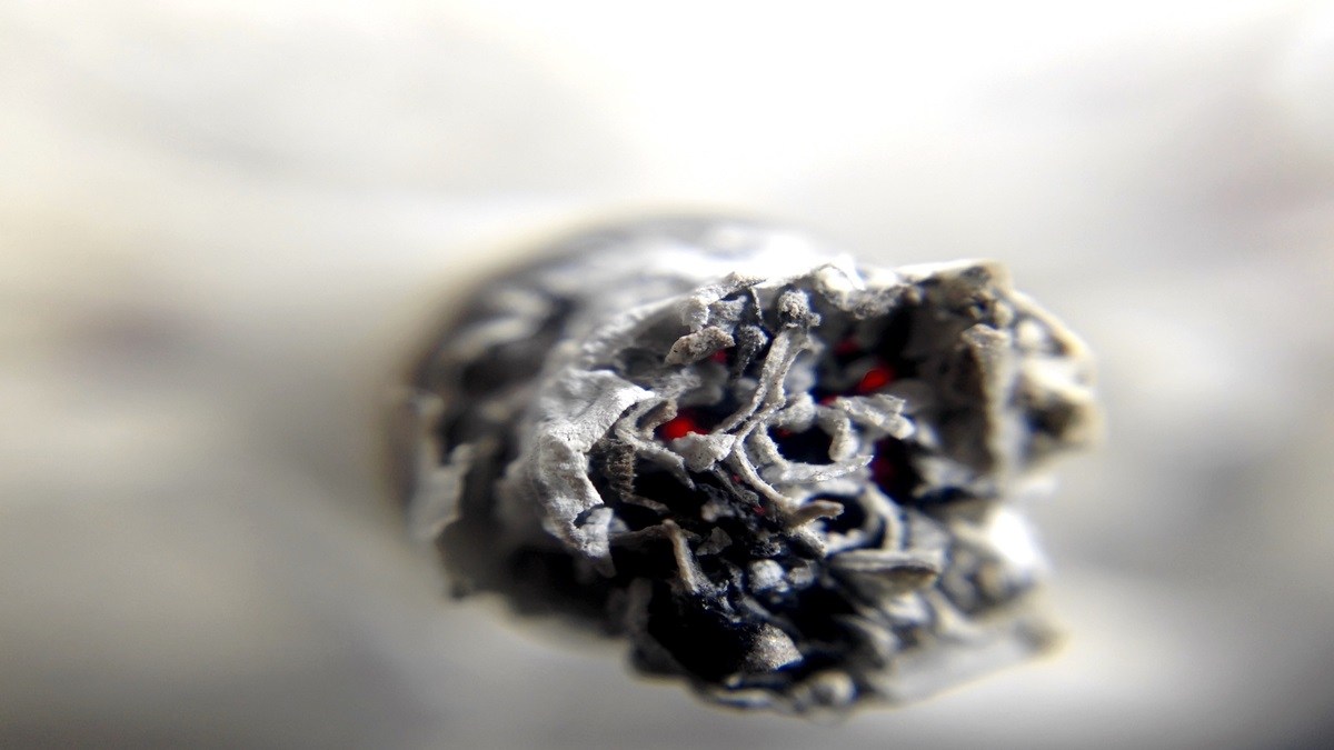 Smoking weed daily? Beware it may severely damage your heart - Life ...