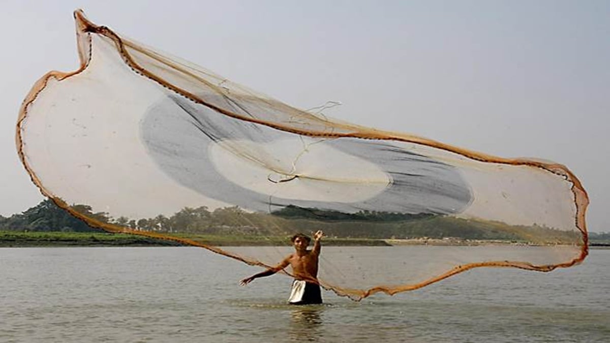 National fish output seen over 80 per cent, Govt approve cumulative ...