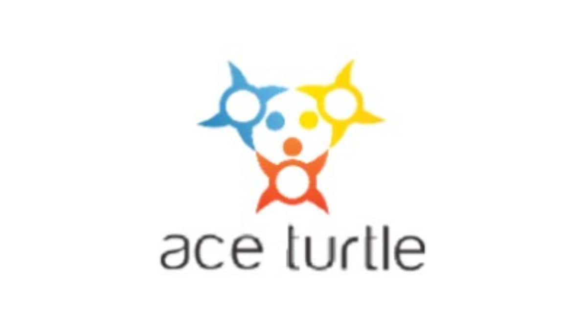 ace turtle appoints chief strategy officer and creative director ...