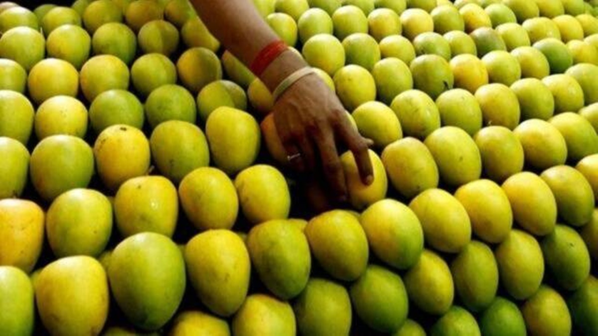 Mango exports to US double, realisation high - Economy News | The ...