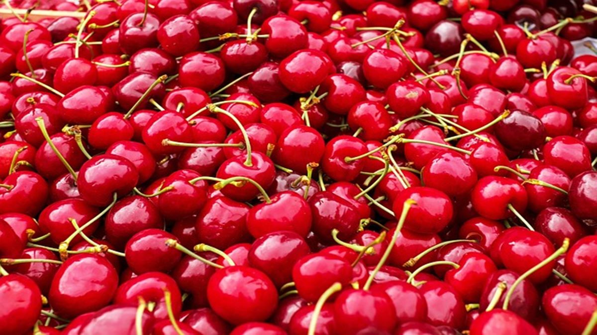 Is cherry healthy? Know its benefits and side-effects - Life News | The ...