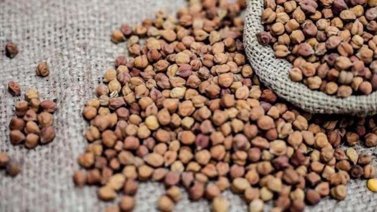 Govt to sell 1 mt of chana in open market to curb prices - Economy News ...