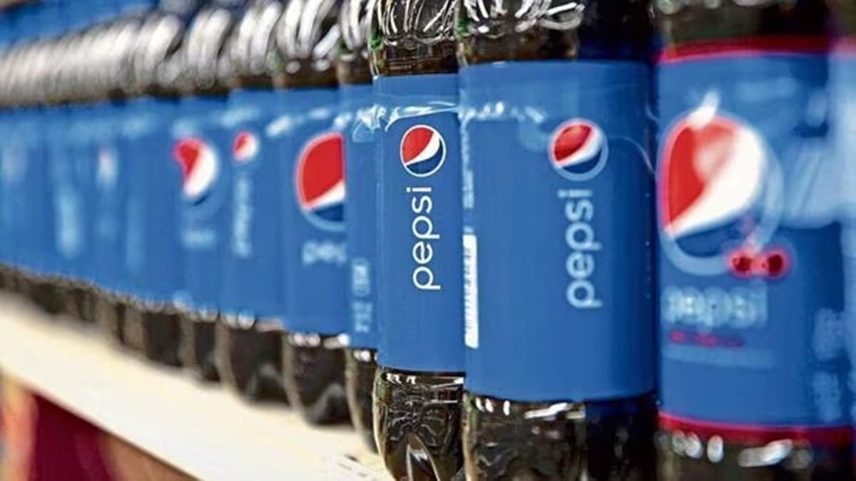 PepsiCo India consolidated profit surges to Rs 268 crore in FY23 ...
