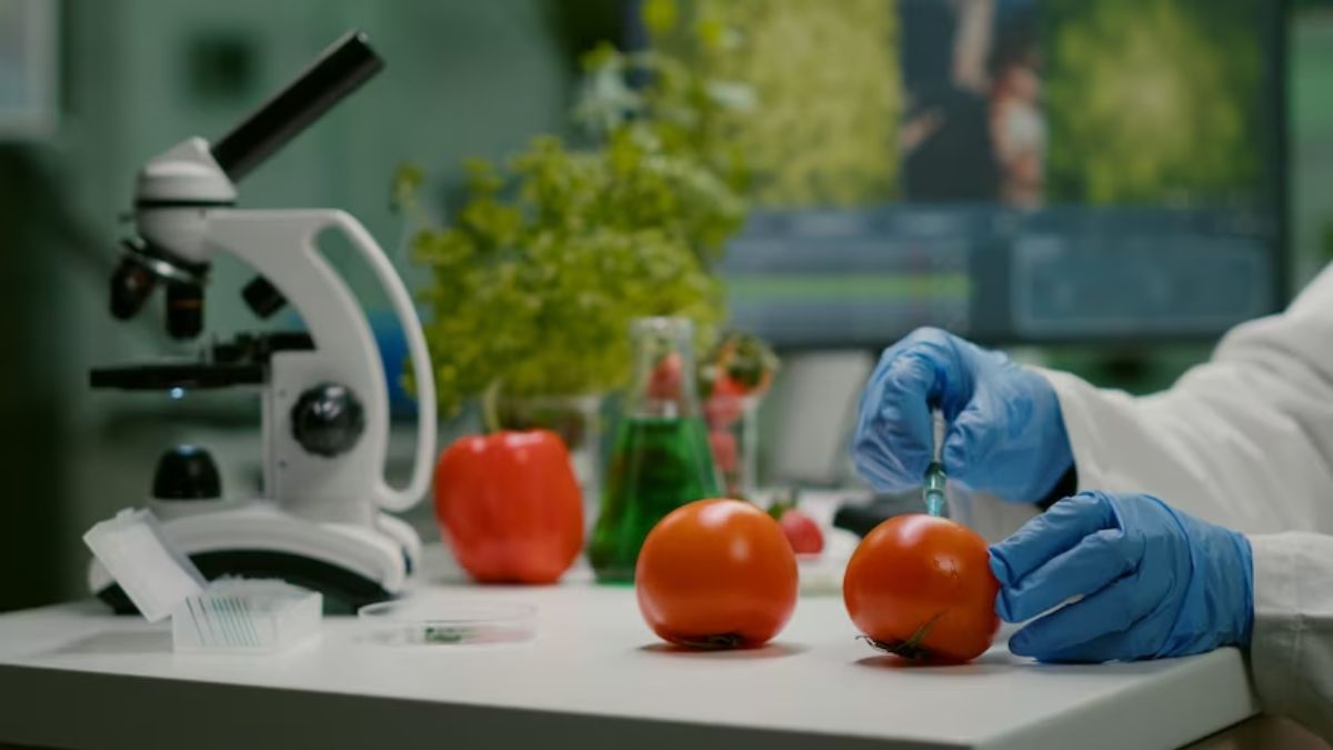 The culinary revolution: New-age technologies in the food industry ...