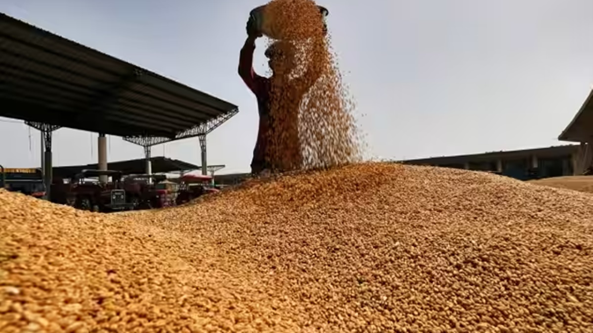 Four poll-bound states key contributors to grain stocks - Economy News ...