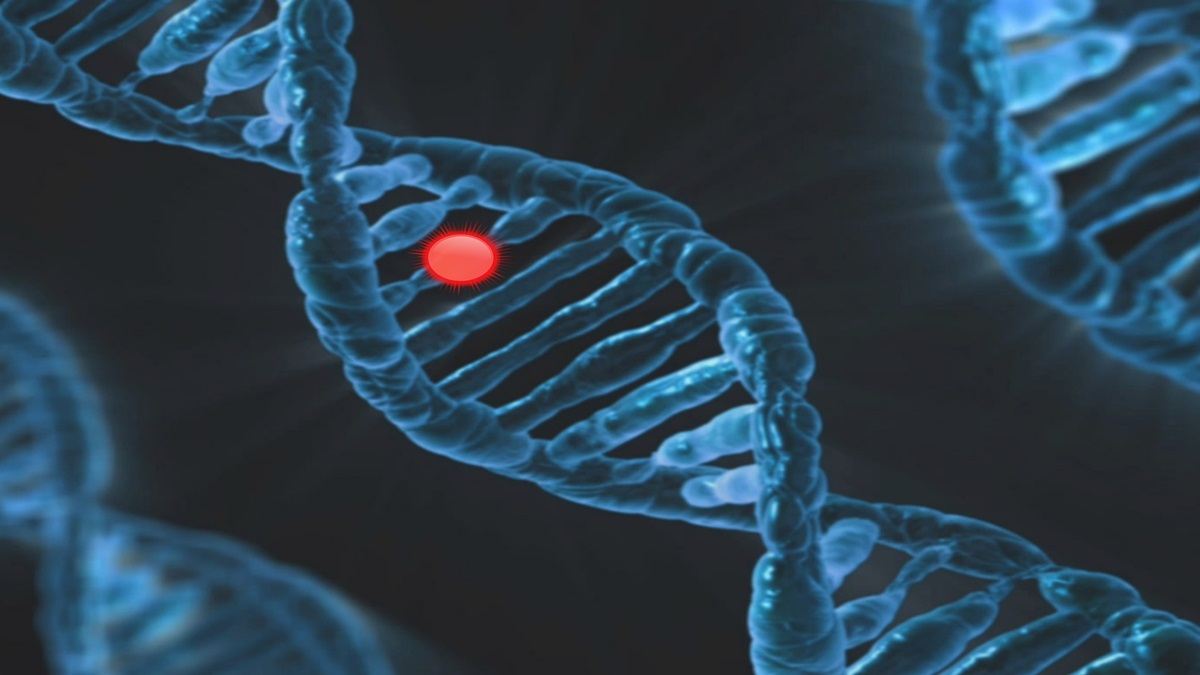 Kintree partners with Mapmygenome to launch DNA ancestry test ...