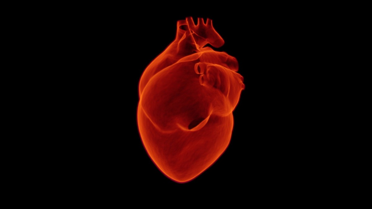 Trial to prevent sudden death after a heart attack enrolls first ...