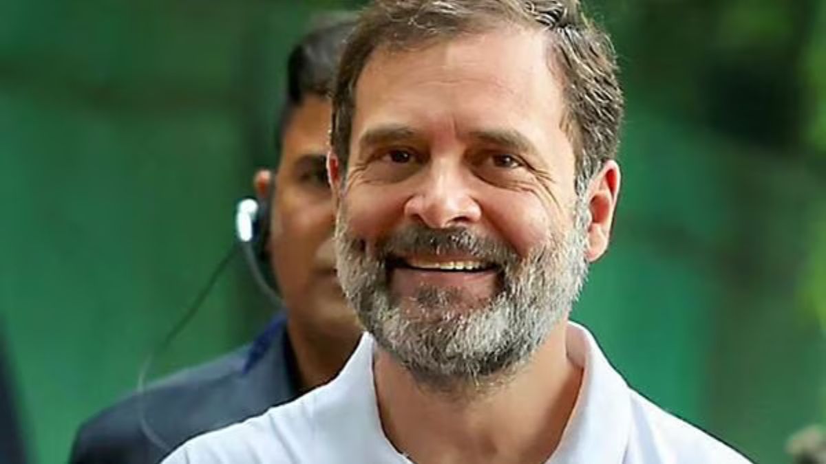 Rahul Gandhi an ordinary Congress MP, don't highlight him so much, says ...