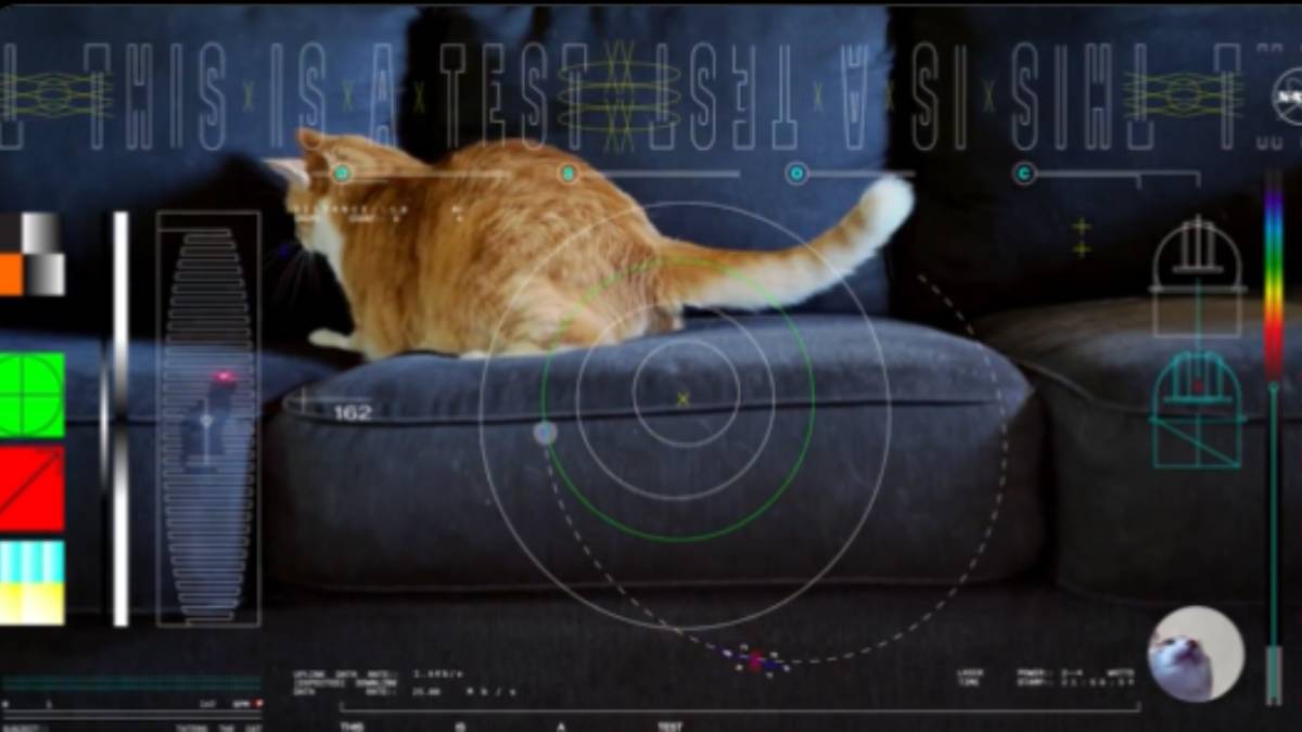 NASA's 'purrfect' milestone! Space agency sends first cat video from deep space using advanced ...