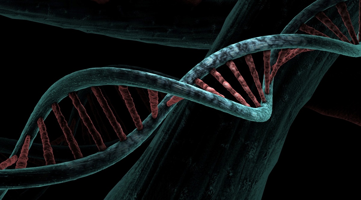 Sanofi to buy Inhibrx for $2.2 billion in rare disease push ...