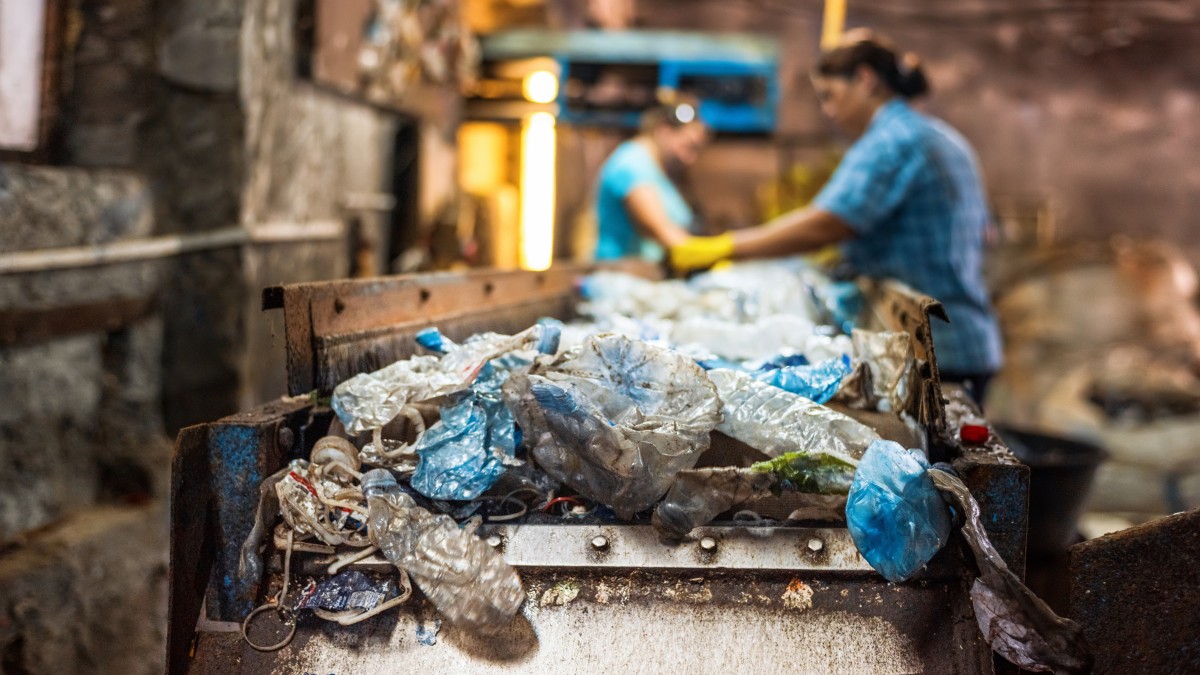 Top career paths in the Recycling Sector - Education News | The ...