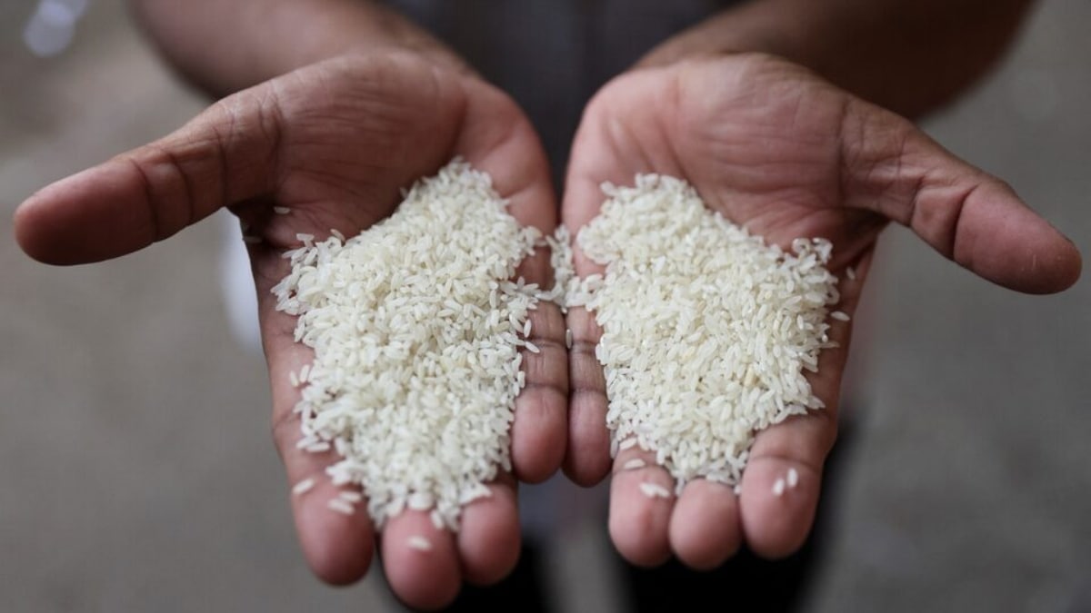 Rice stocks 4 times the buffer at 57 MT - Commodities News | The ...