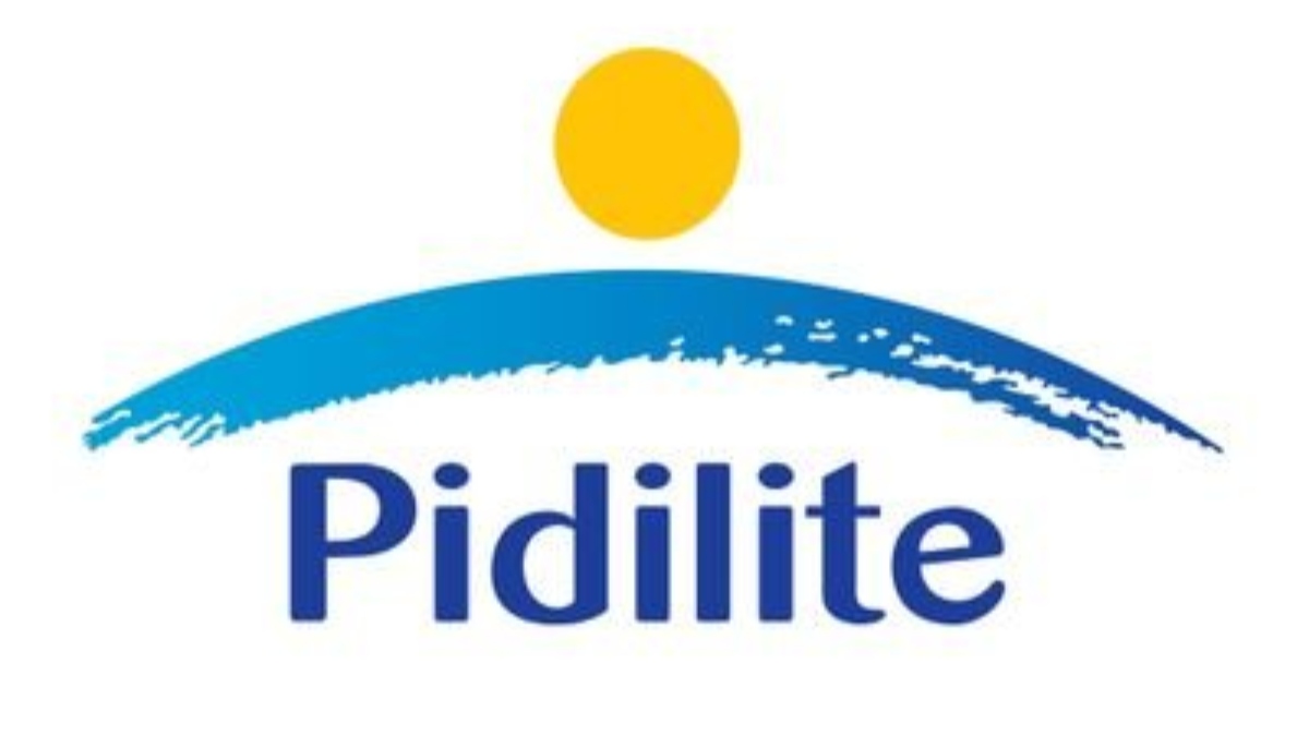 Pidilite sees sales volume boost in second half of FY25 - Industry News ...