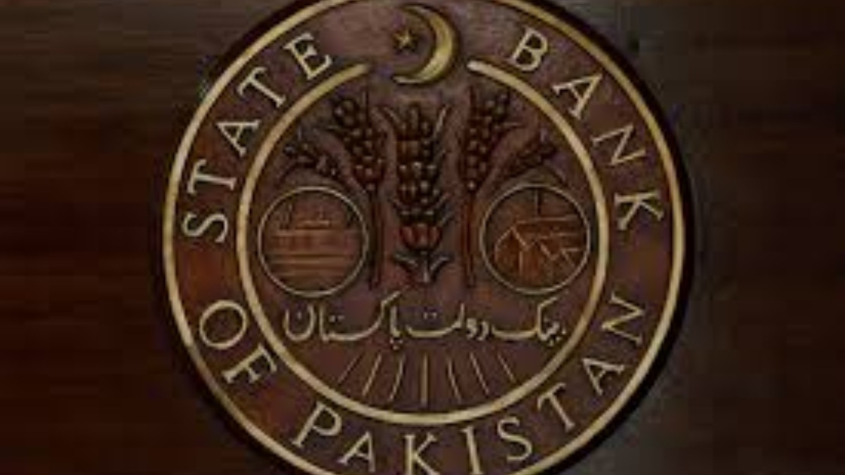 Pakistan to experiment with new polymer plastic currency banknote, old ...