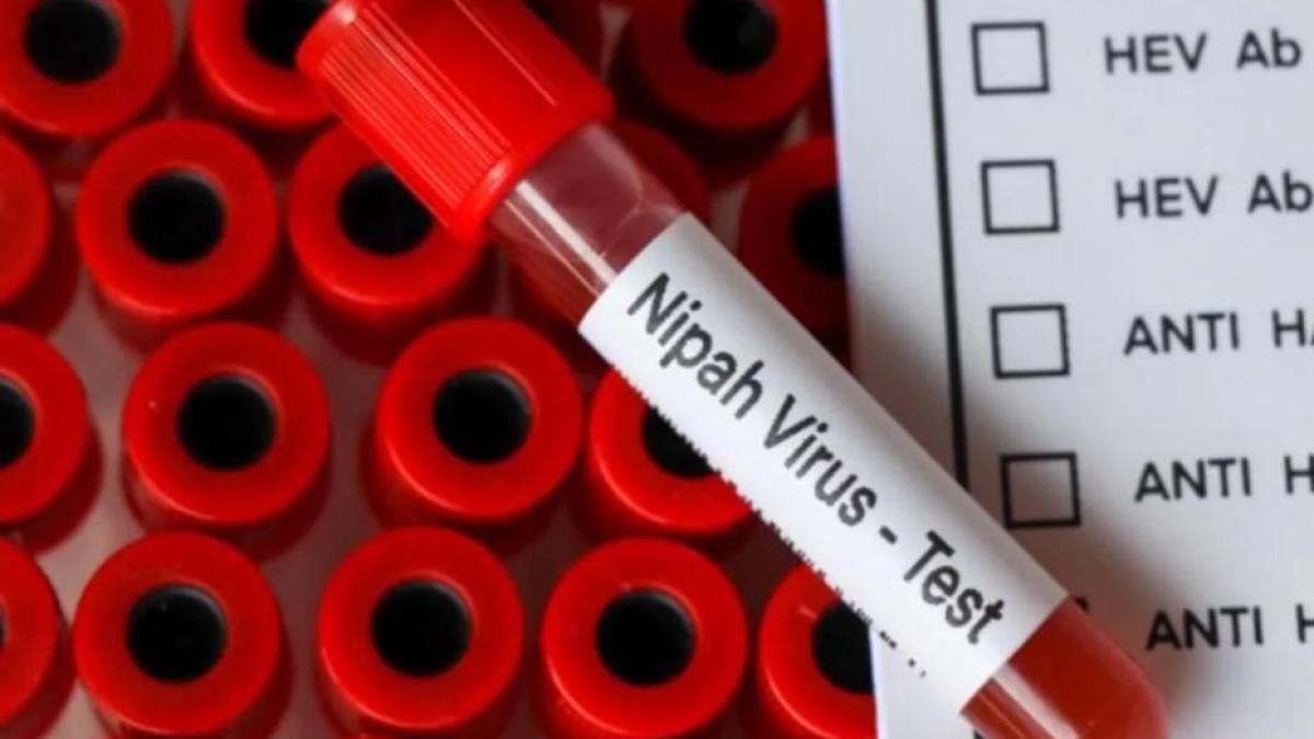 Samples of 16 out of 50 high-risk individuals test negative for Nipah ...