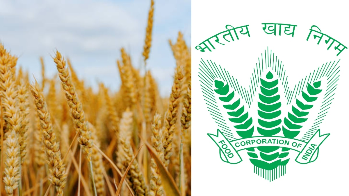 Centres releases 80% of of FY25 dues to FCI - Economy News | The ...