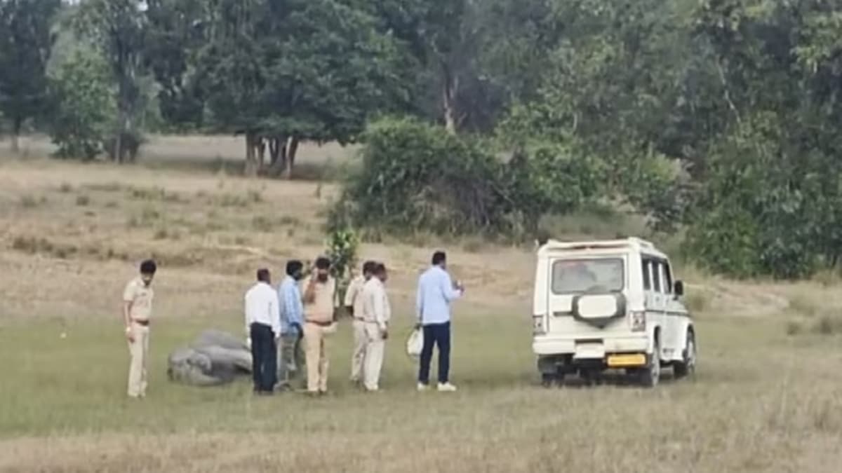 Bandhavgarh elephant deaths: MP govt hikes death compensation to Rs 25 ...