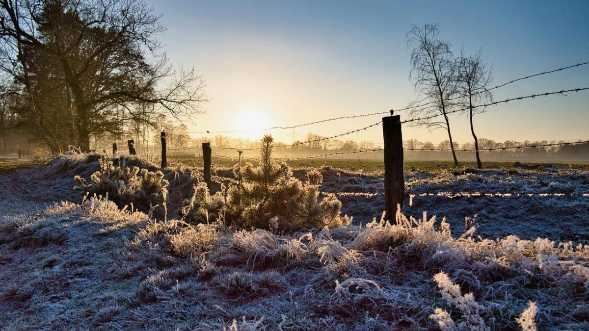 Winter Solstice 2024: As longest night and shortest day of the year ...