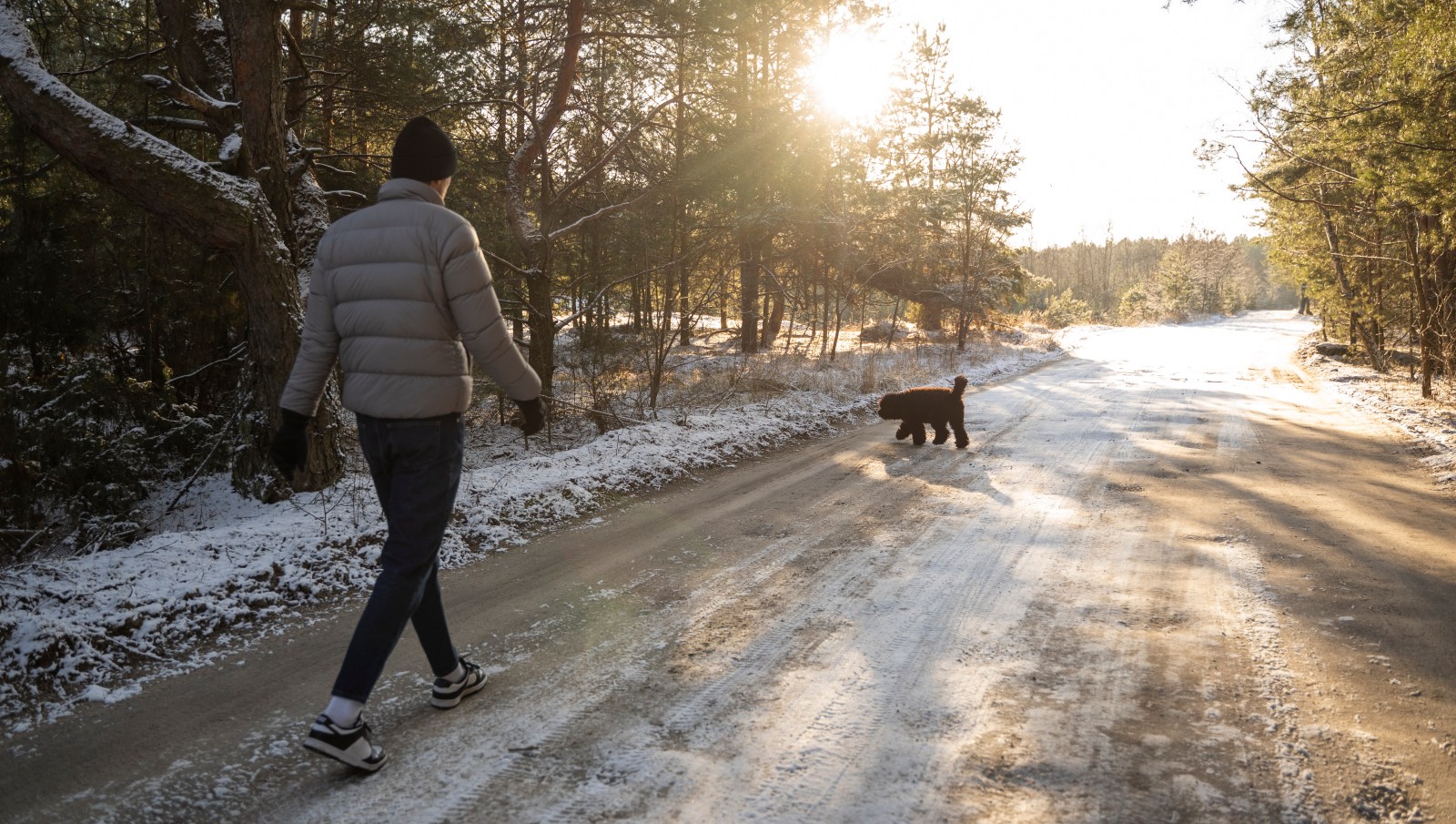 Why brisk walking is a game changer for heart health and joint mobility ...