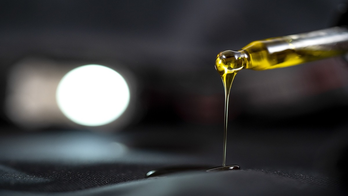 3 vegan alternative oils to butter that you must know - Life News | The ...