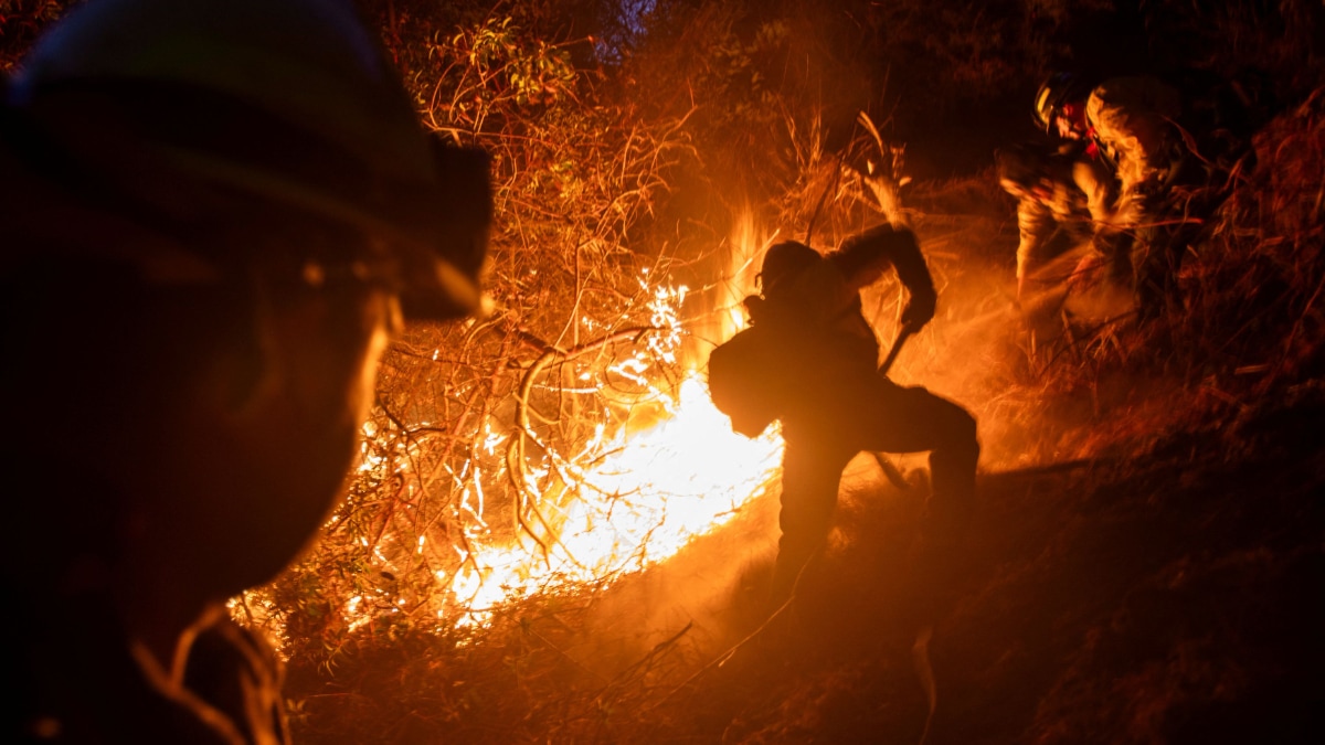 California wildfire: New fire spreads near Lake Castaic; over 50,000 ...