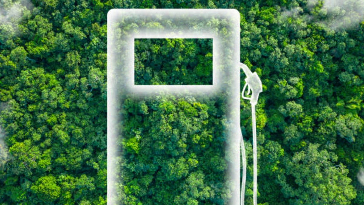 AM Green ties up with DP World to set up supply chain for green fuels ...