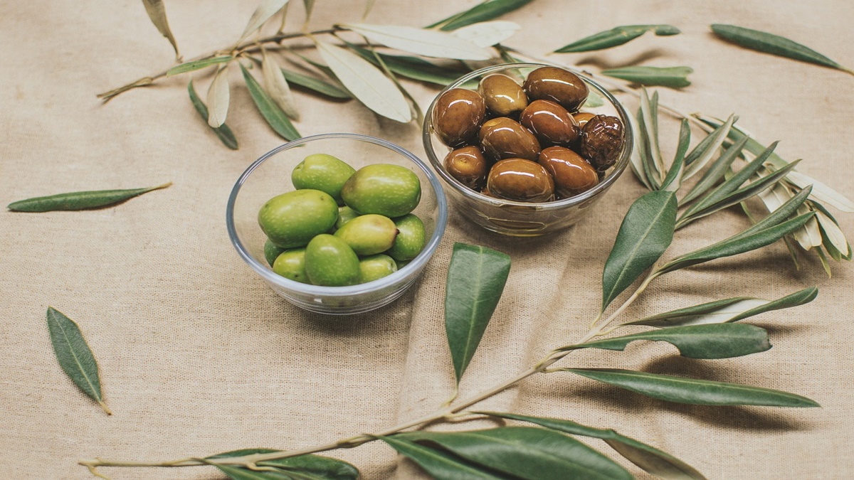 Are olive leaves healthy? Know all about benefits, how to eat and who ...