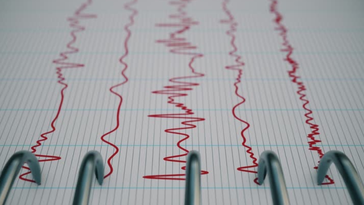 Earthquake live updates: After Delhi, another 4 magnitude earthquake ...