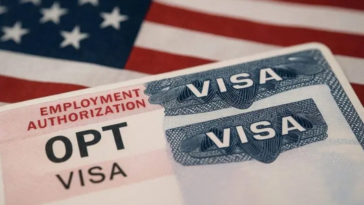 STEM OPT pending, H-1B in limbo: Laid-off Reddit user fights visa clock ...